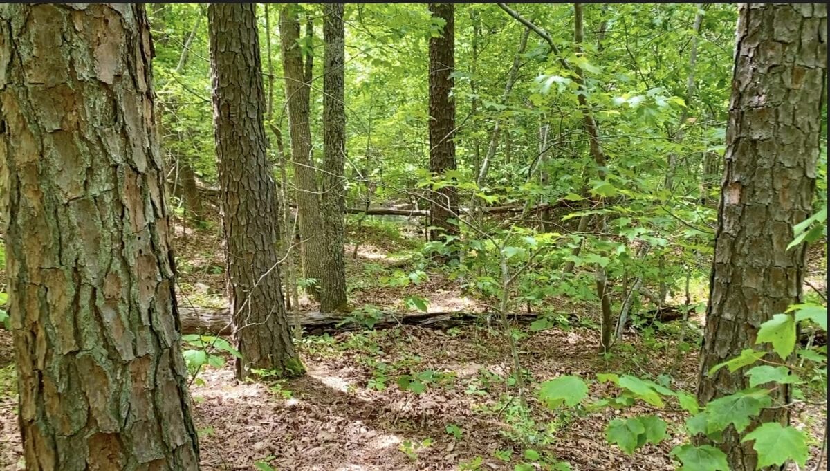 The Meramec Project