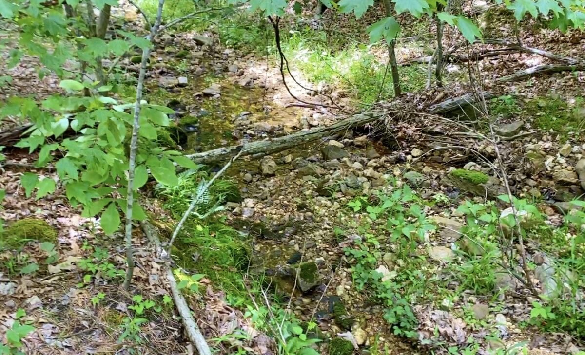The Meramec Project