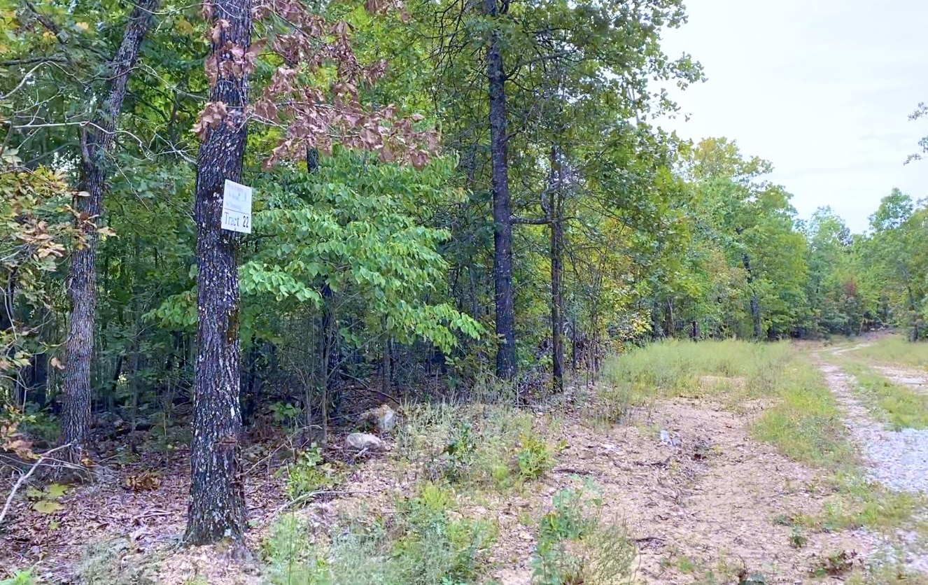 Tract 22 at The Devil’s Backbone Project – 9.96 acres ON the National ...