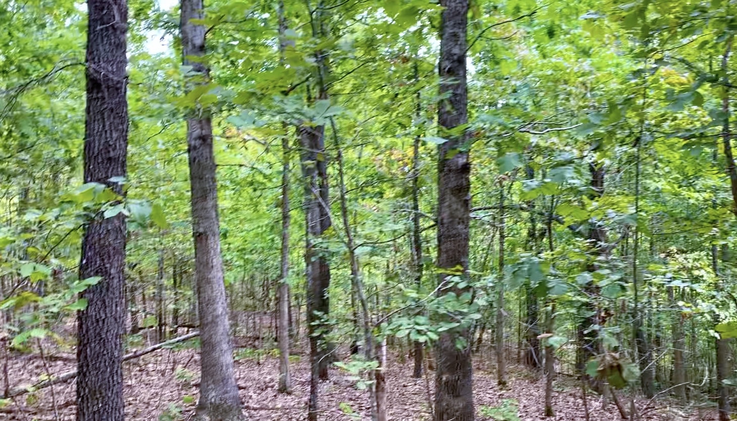 Tract 22 at The Devil’s Backbone Project – 9.96 acres ON the National ...