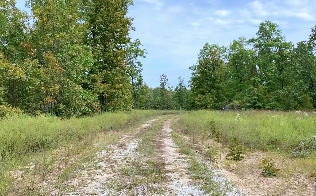 Tract 22 at The Devil’s Backbone Project – 9.96 acres ON the National ...